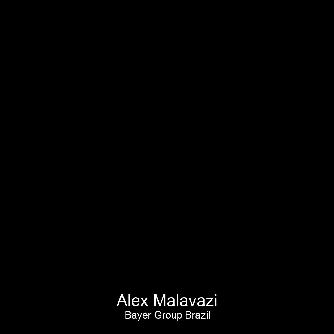 Palestrante - Alex Malavazi