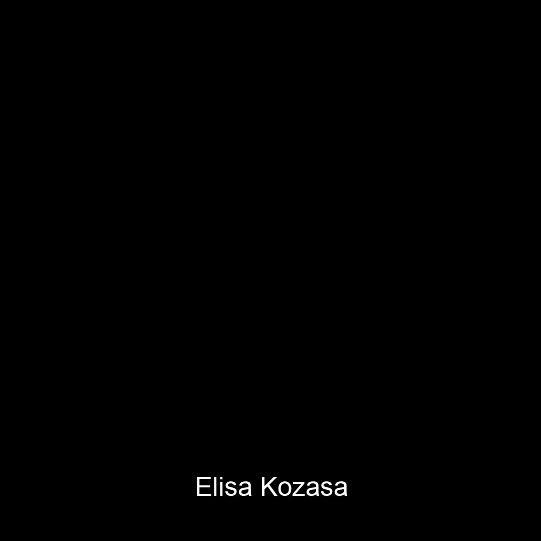 Palestrante - Elisa Kozasa