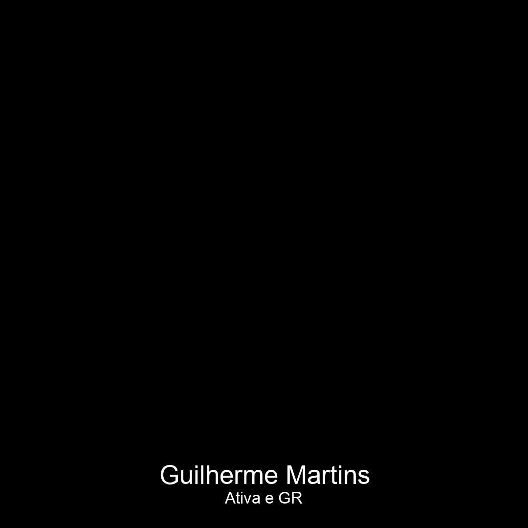 Palestrante - Guilherme Martins