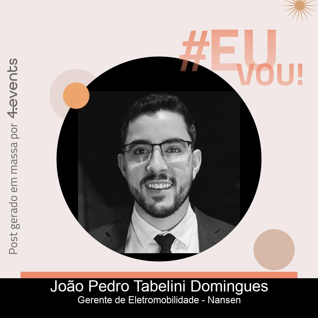 Palestrante - João Pedro Tabelini Domingues