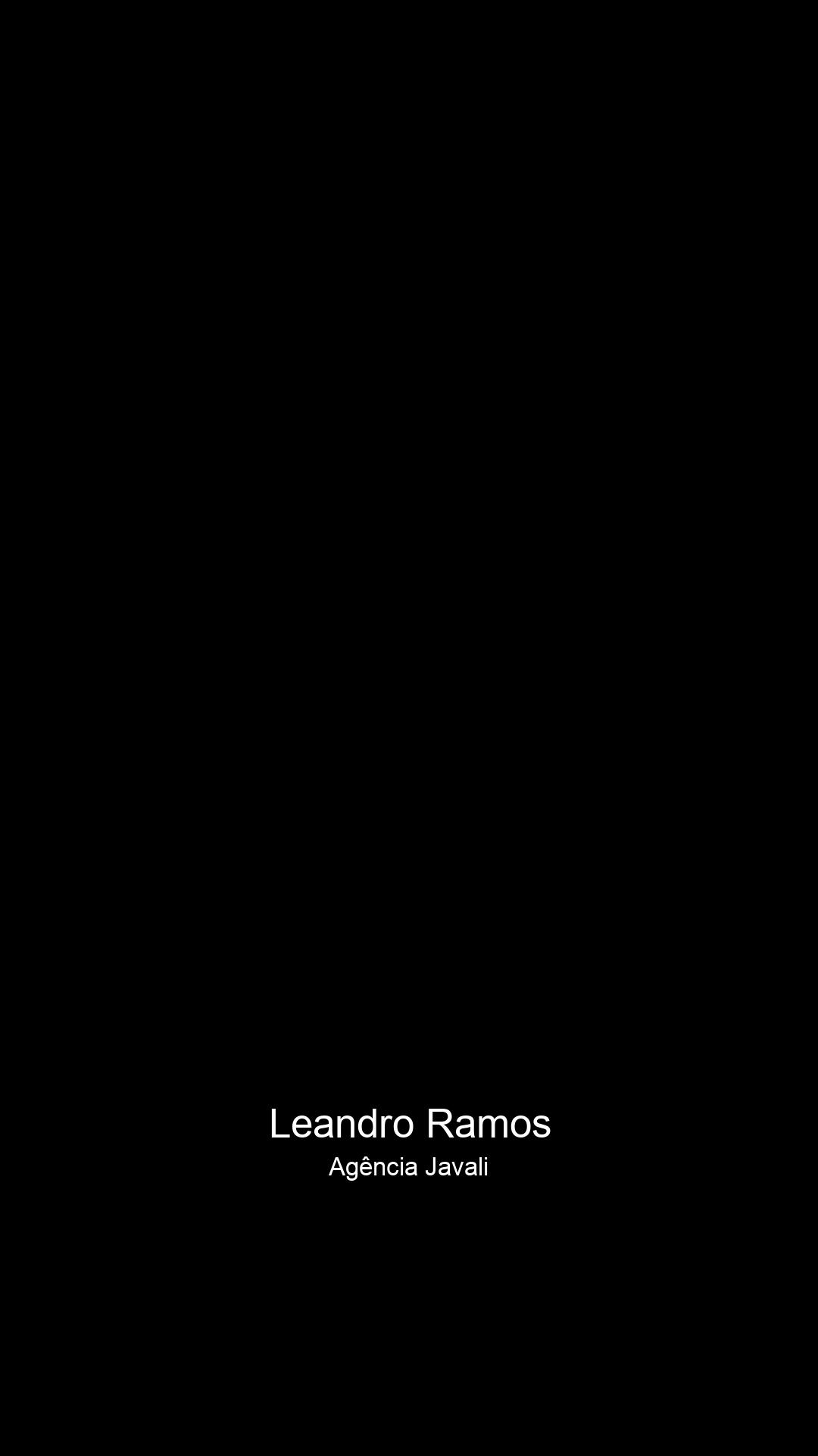 Palestrante - Leandro Ramos