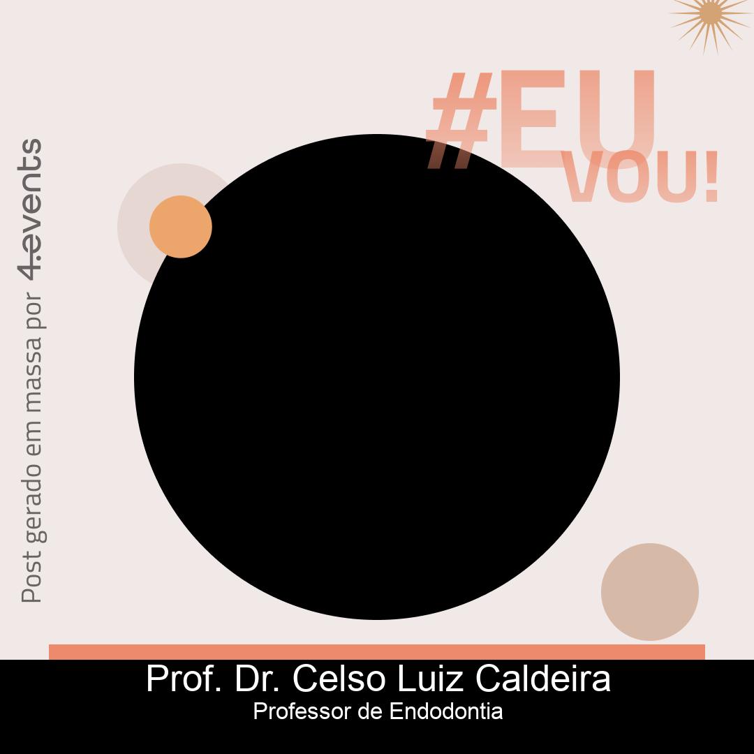 Palestrante - Prof. Dr. Celso Luiz Caldeira