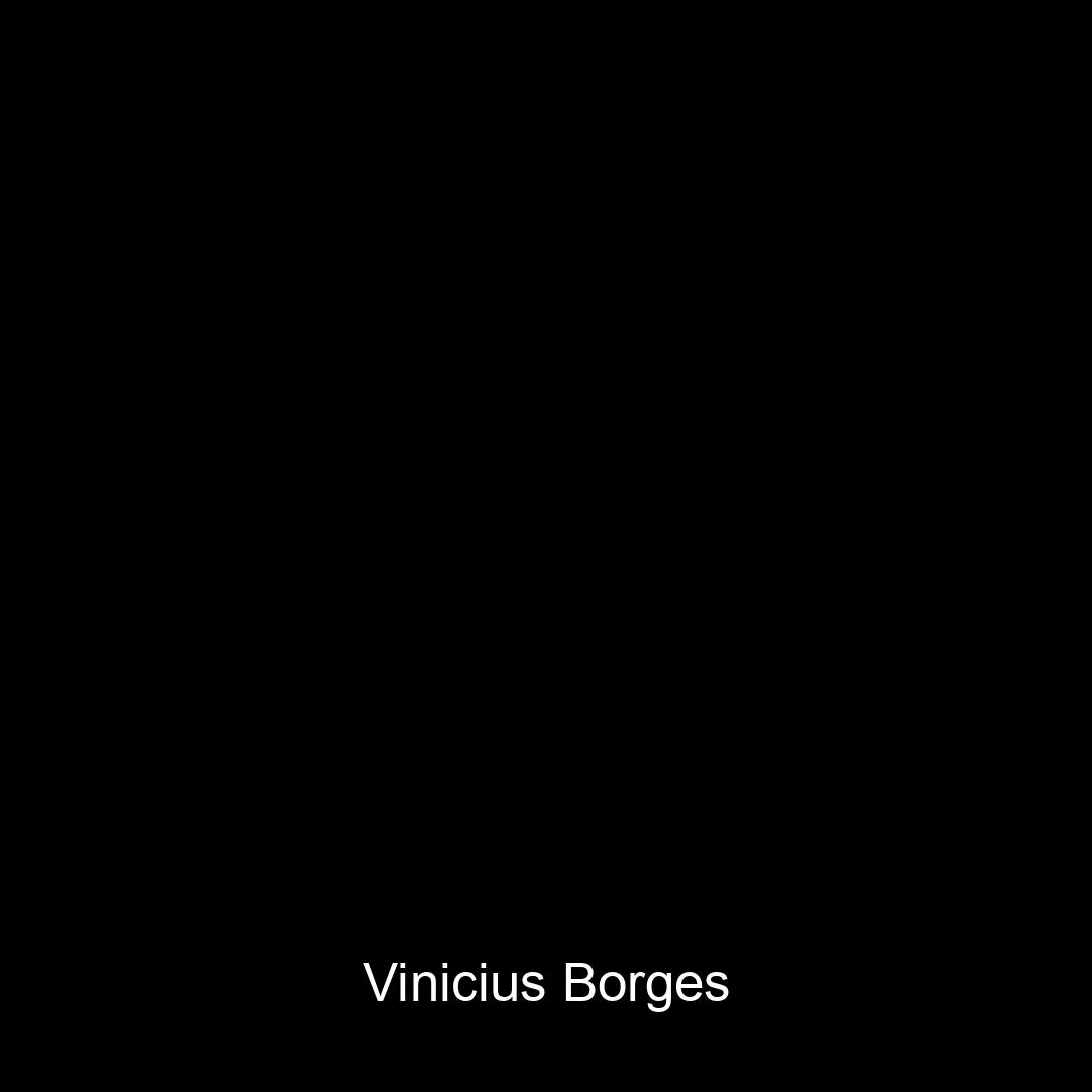 Palestrante - Vinicius Borges